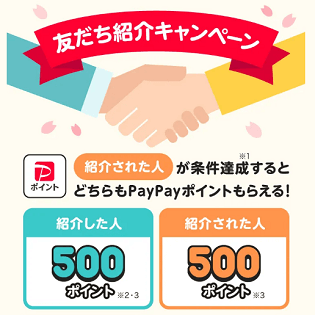 PayPayに招待コードを適用して500ポイントをゲットする方法 – キャンペーンの条件や紹介コードの確認手順など - usedoor