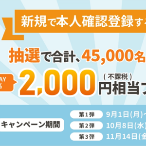 au PAY、本人確認登録で2,000円相当が当たるキャンペーンを実施 - usedoor